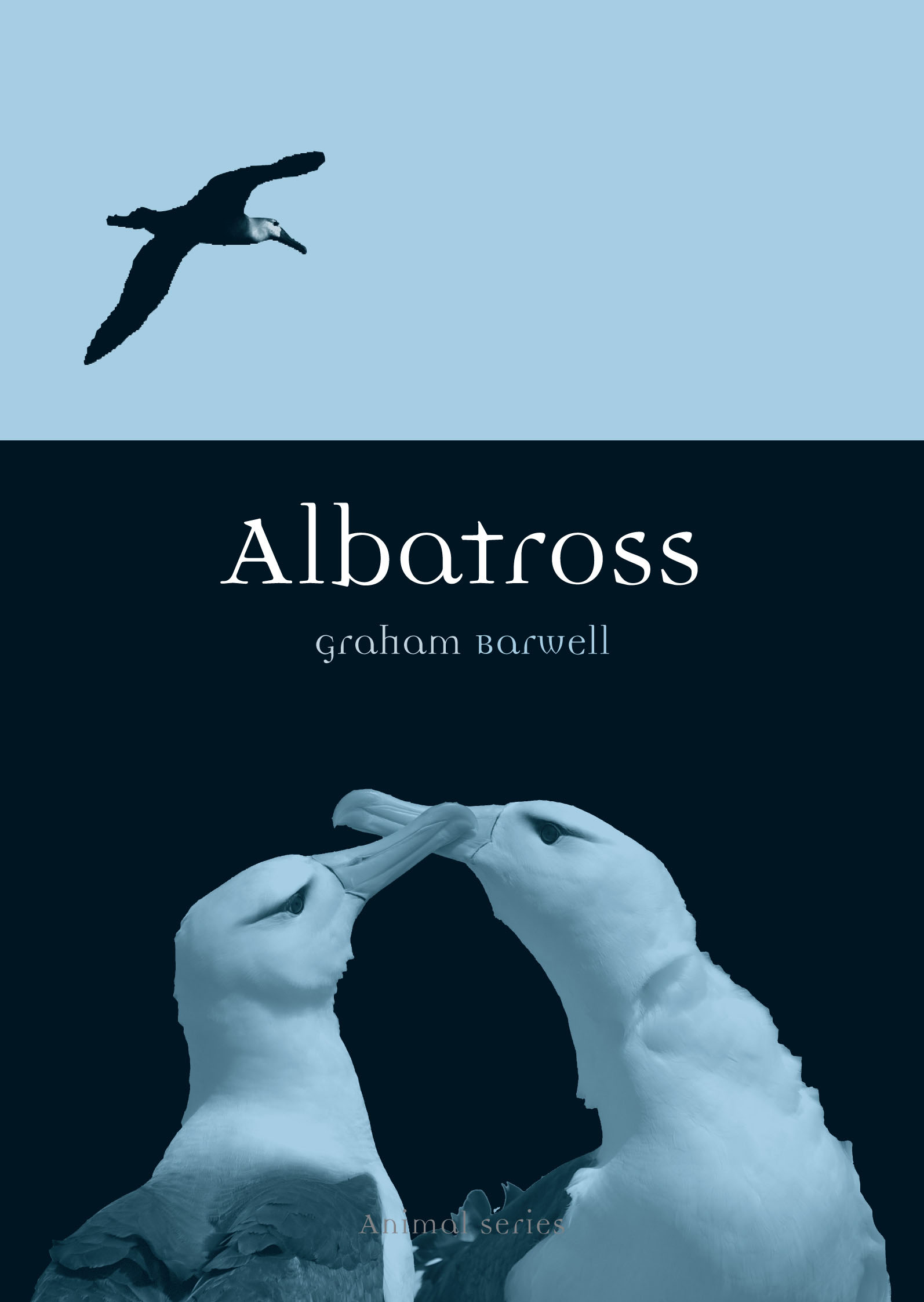 Albatross | NewSouth Books